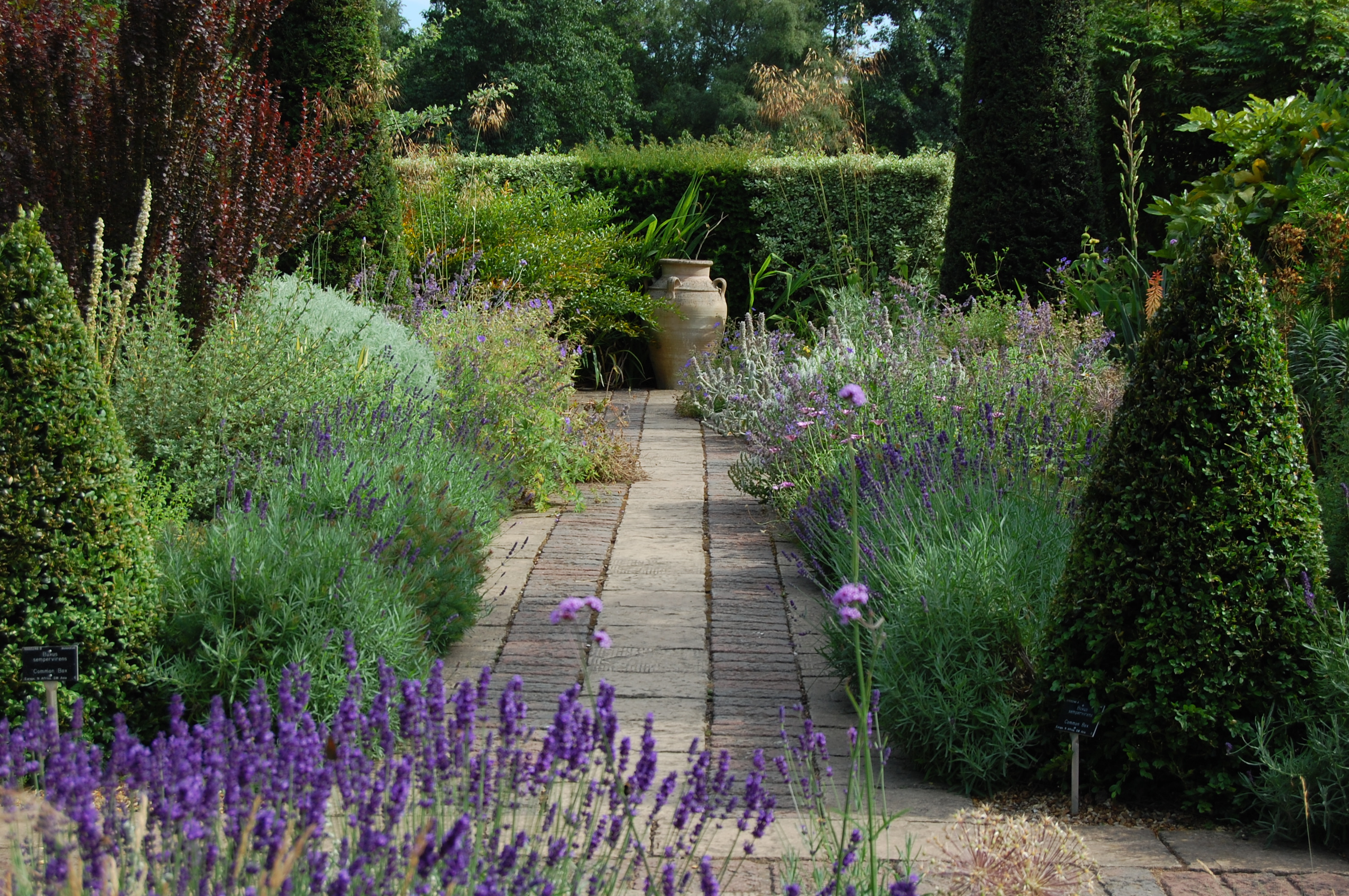 inspirational garden photos