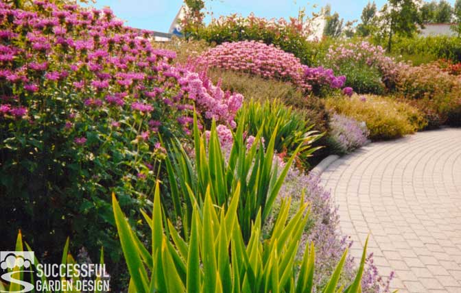 What Makes A Planting Scheme Great? – Successful Garden & Lifestyle Design